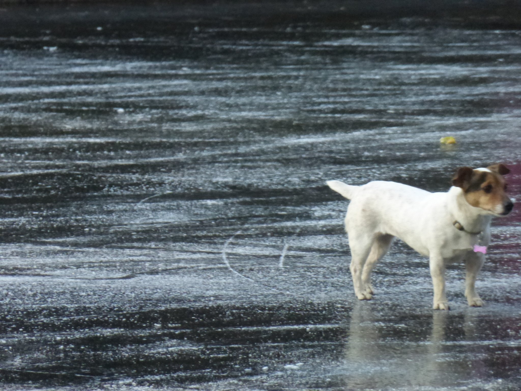 Maul halten - Düsseldorf