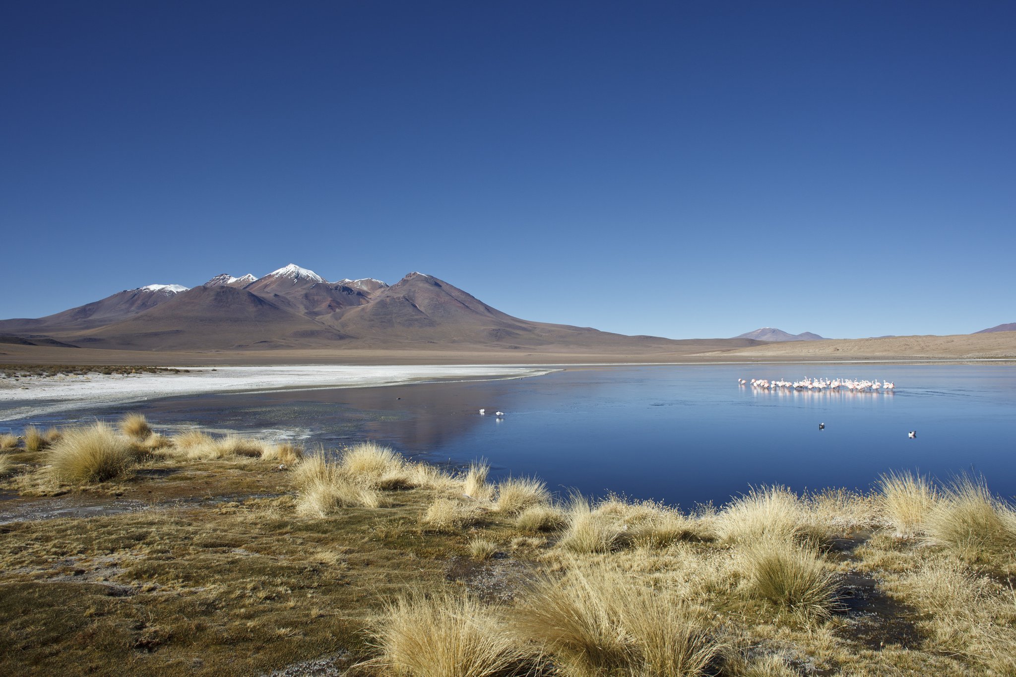 Die Anden: Peru, Bolivien, Chile - Hagen