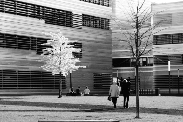 Campus HSD - Düsseldorf