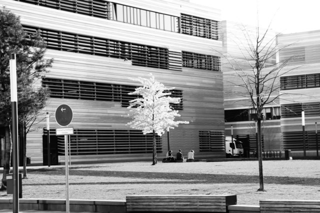 Campus HSD - Düsseldorf