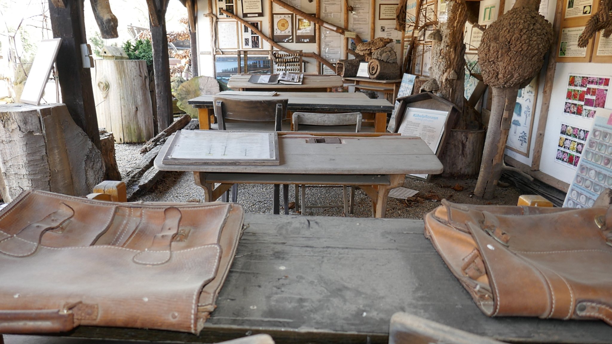 Baumschule Höfkes, ein Unternehmen der Superlative - Kempen-Tönisberg