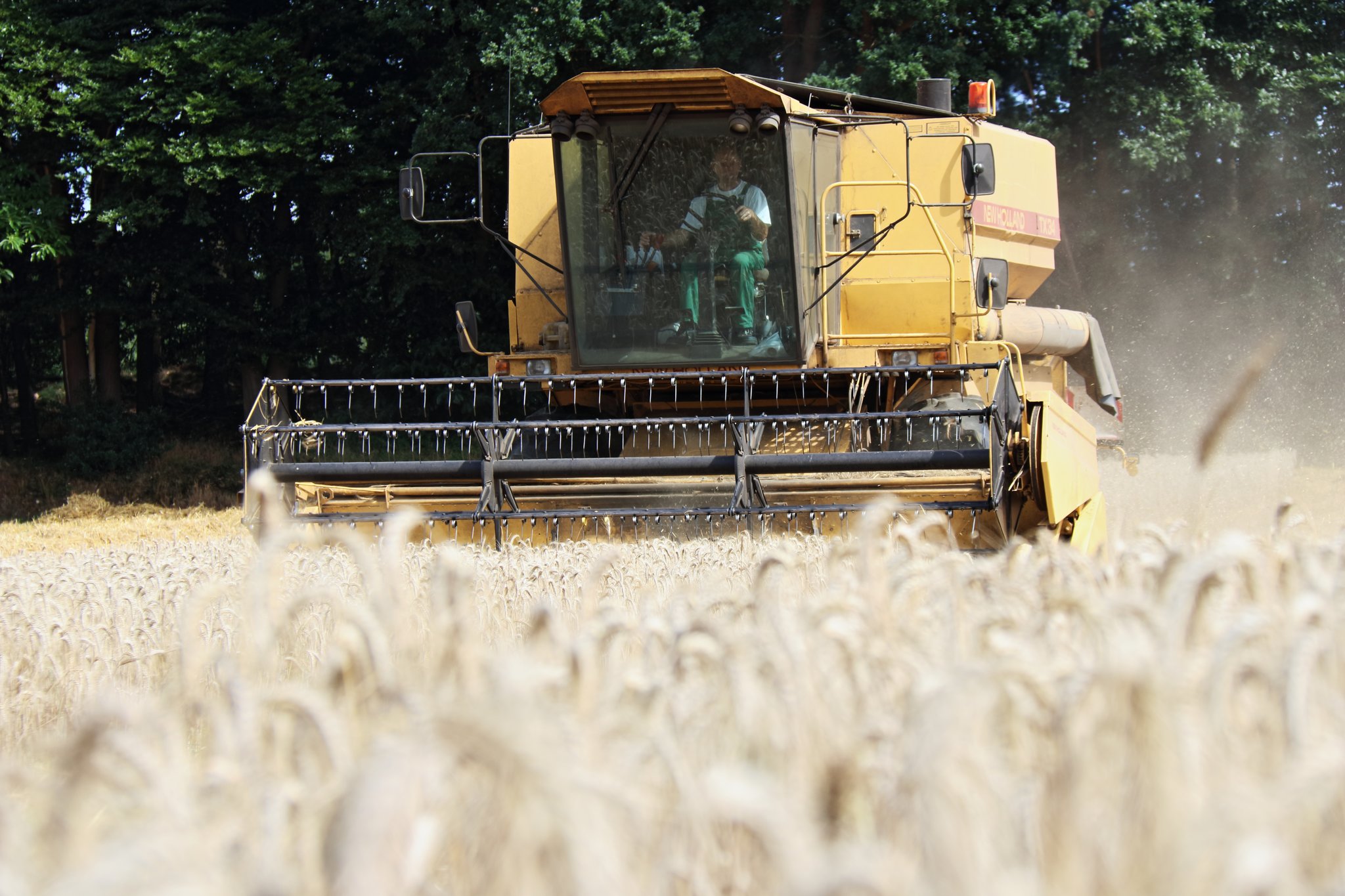 Heute Ruhetag! - Kleve