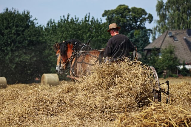 Ackerbau mit 1 PS! - Kleve