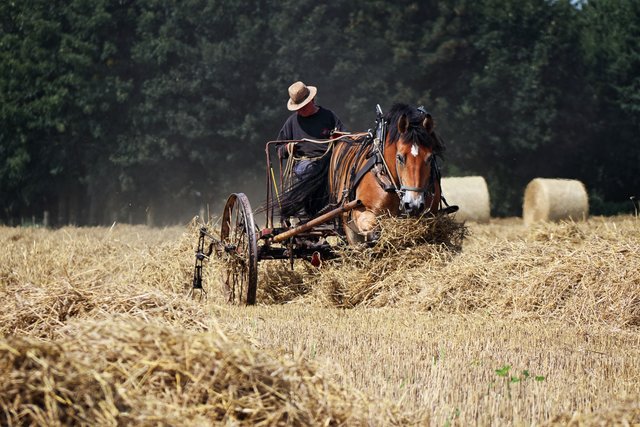Ackerbau mit 1 PS! - Kleve