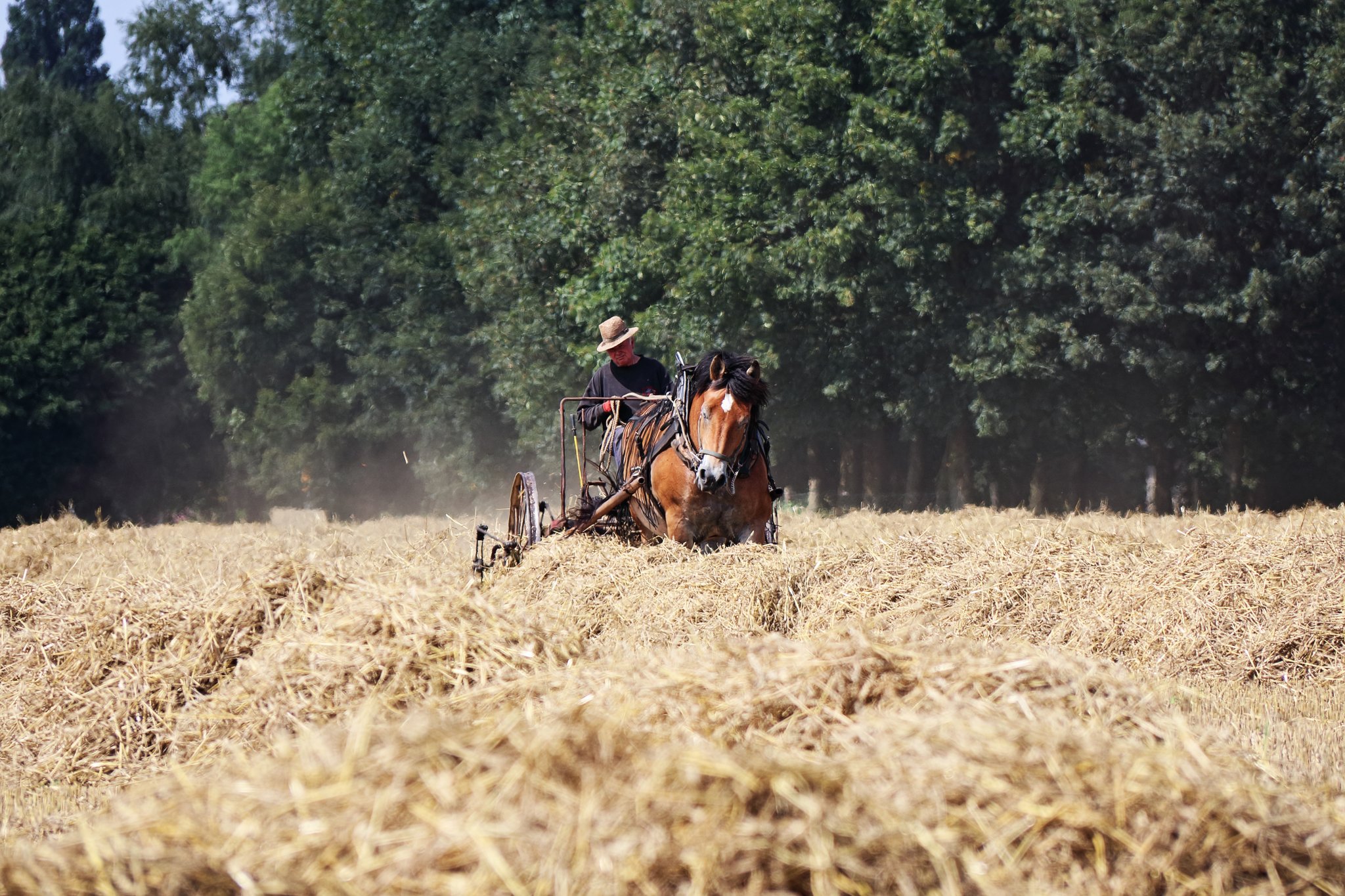 Ackerbau mit 1 PS! - Kleve