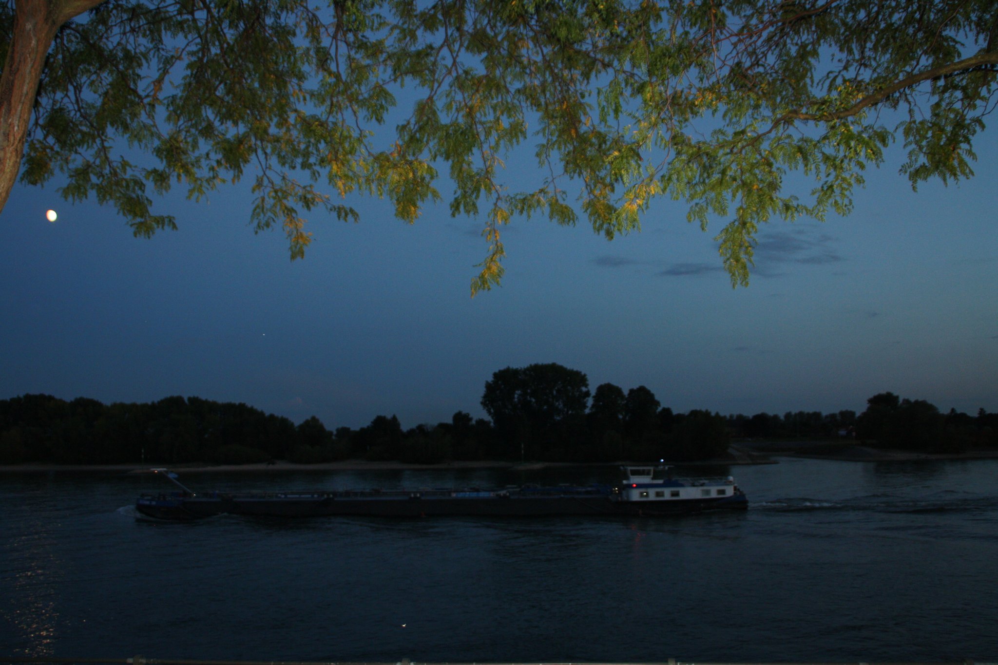 ROMANTIK Abends in REES am Rhein - Rees
