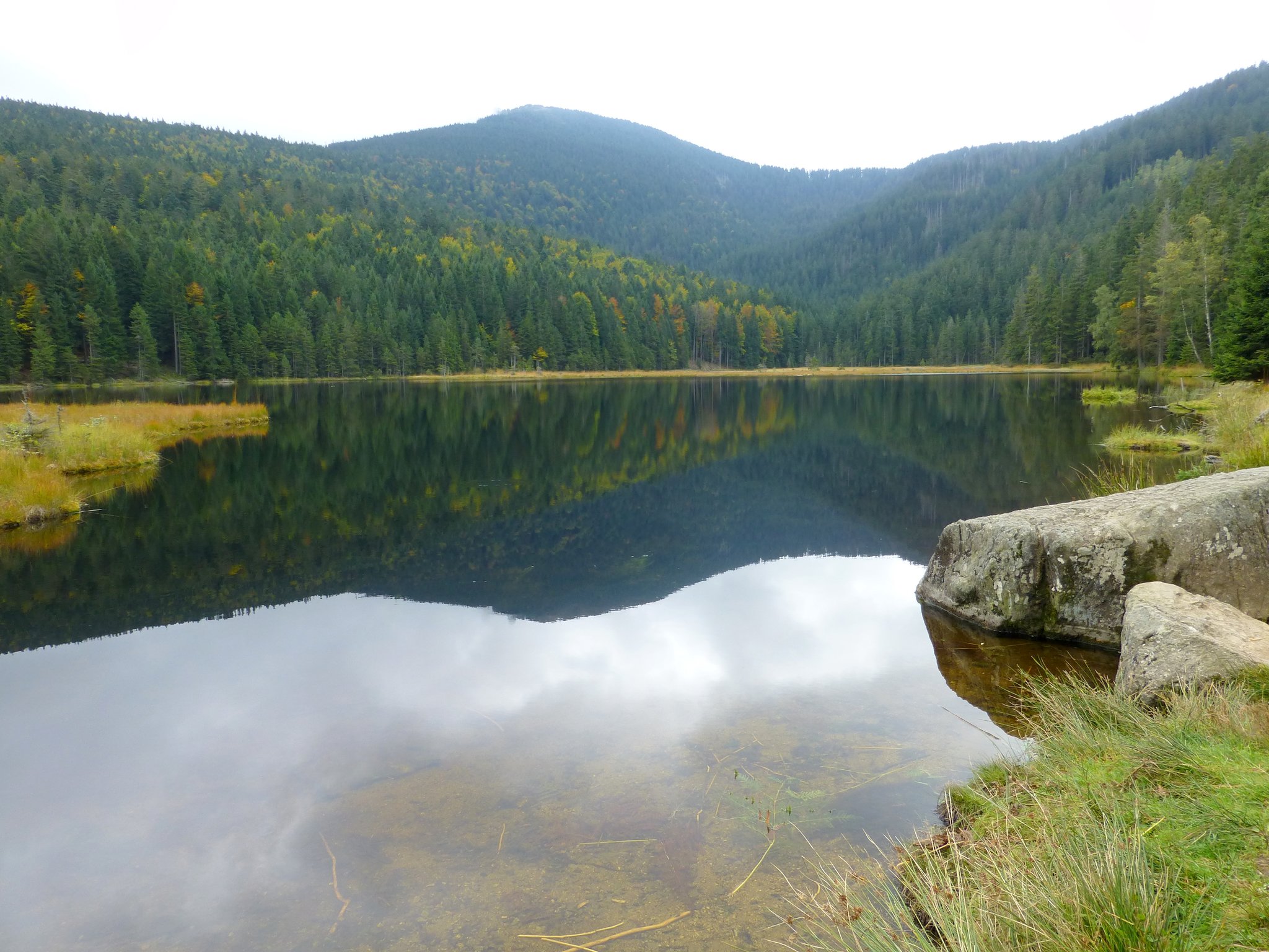 "Den Bayernwald entdecken - Natur pur" - Mülheim an der Ruhr