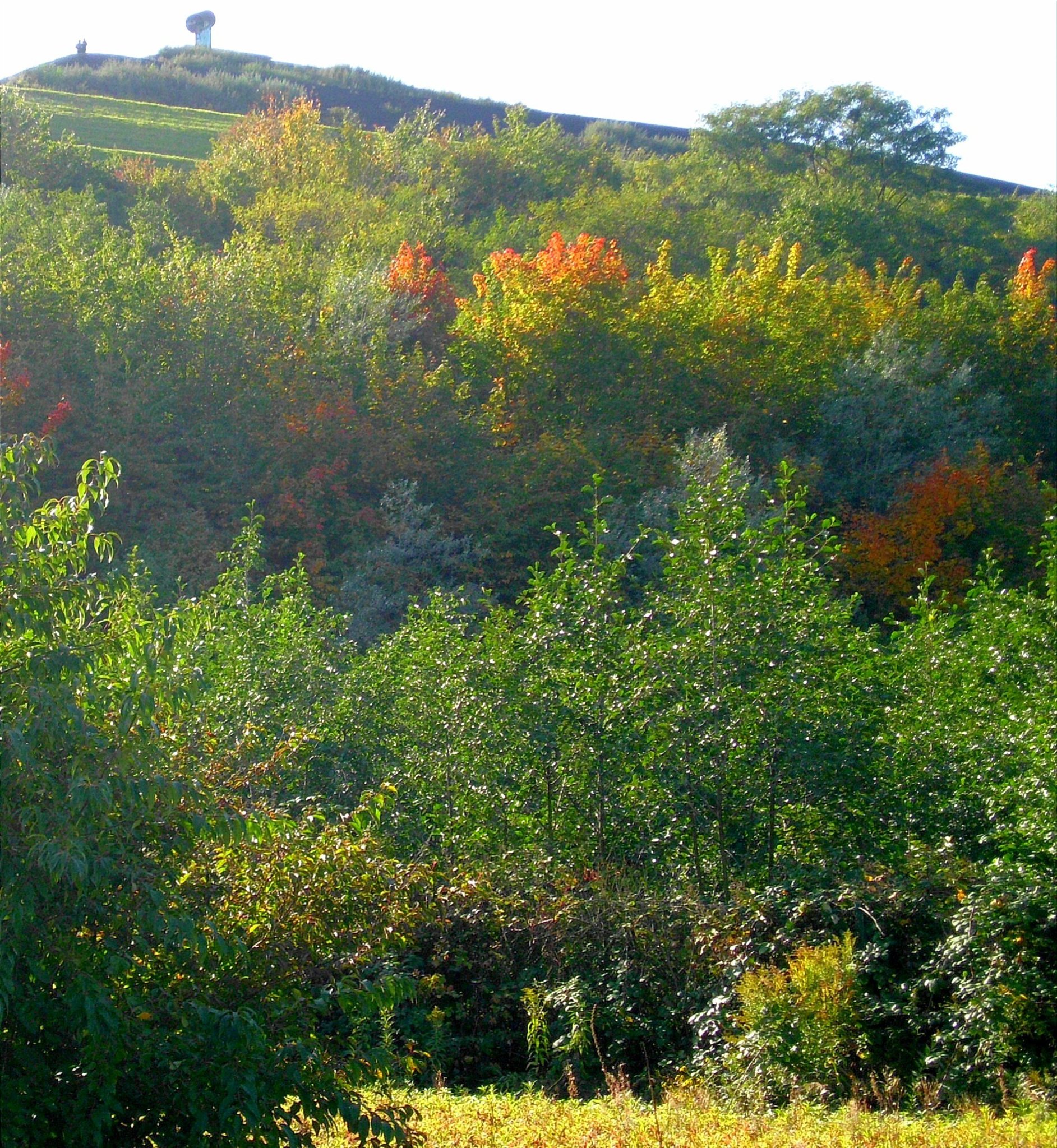 Halde Rungenberg - Gelsenkirchen