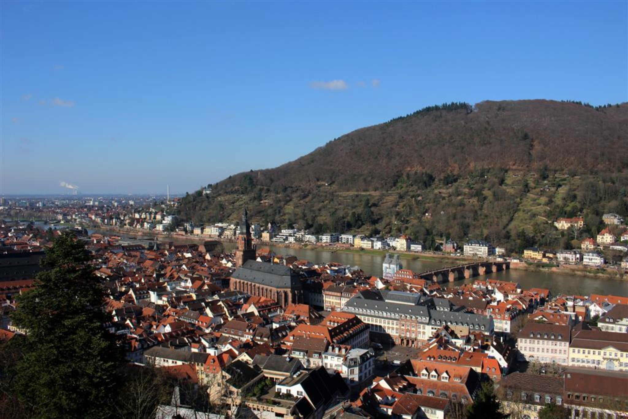 Ein spannender Tag zwischen Schloss, Goethe und Alter Brücke in ...