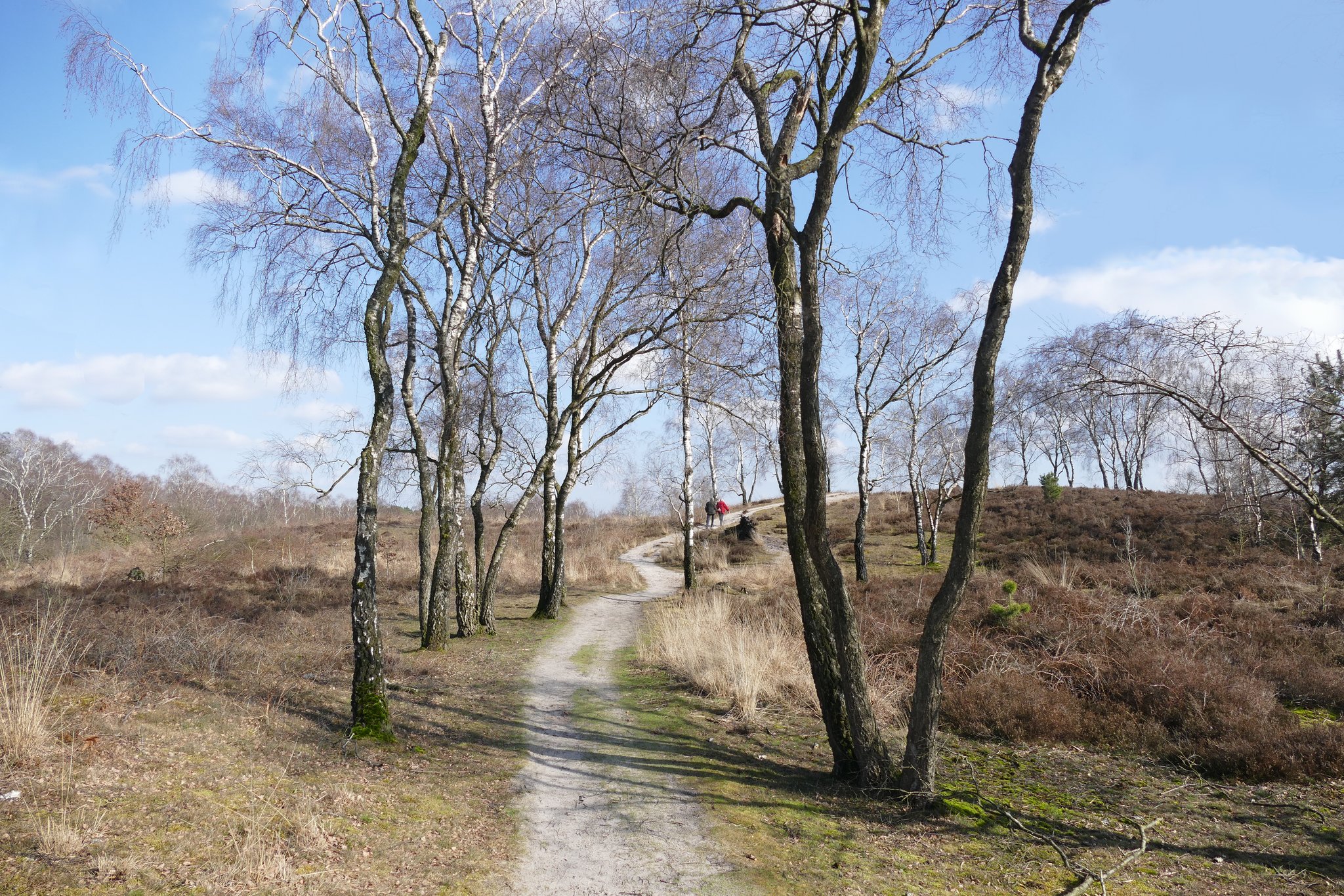 Auf der Heide "de Hamert" - Bedburg-Hau