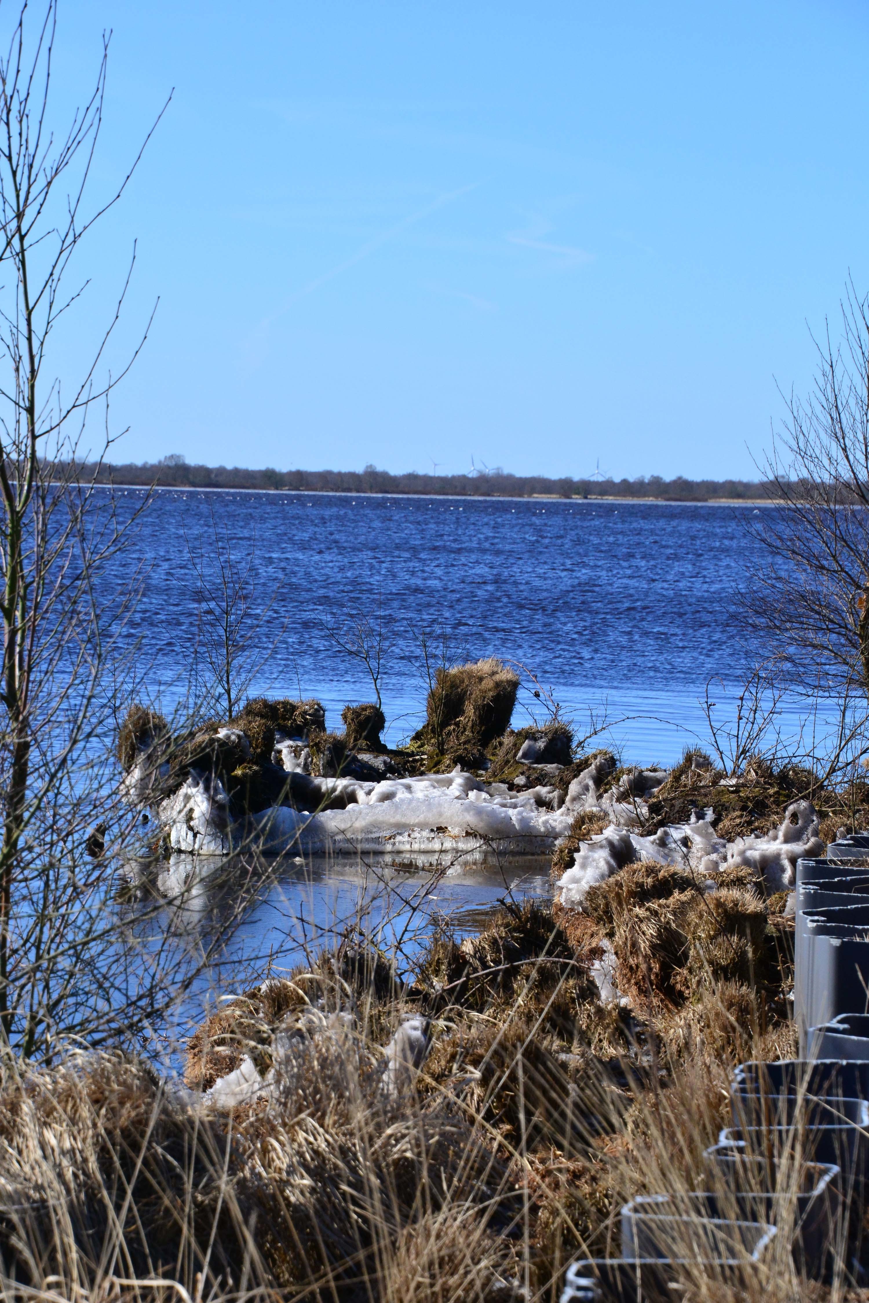 Spaziergang durch das "Ewige Meer" in Eversmeer (Ostfriesland) im März ...