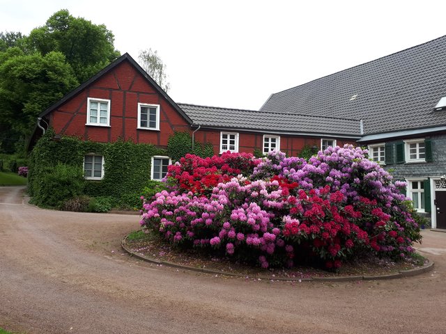So schön ist es bei Bauer Ridder - Essen-Steele
