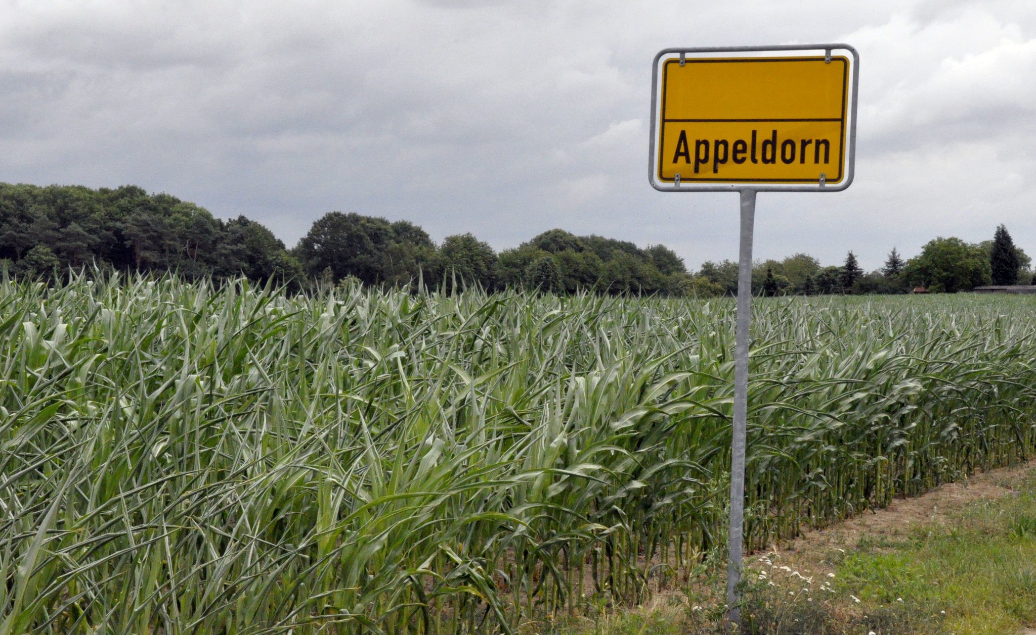 Hier endet Appeldorn! Und was kommt dahinter? - Kalkar