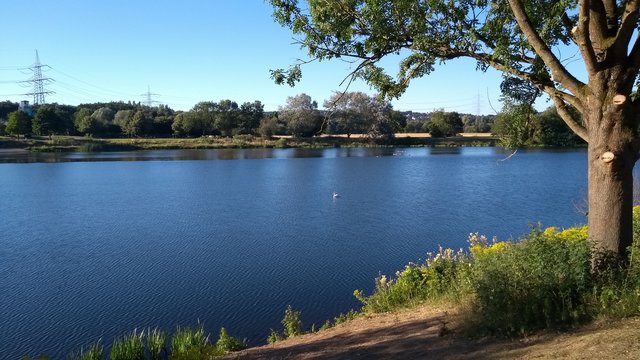 Impressionen vom Kemnader See - Witten