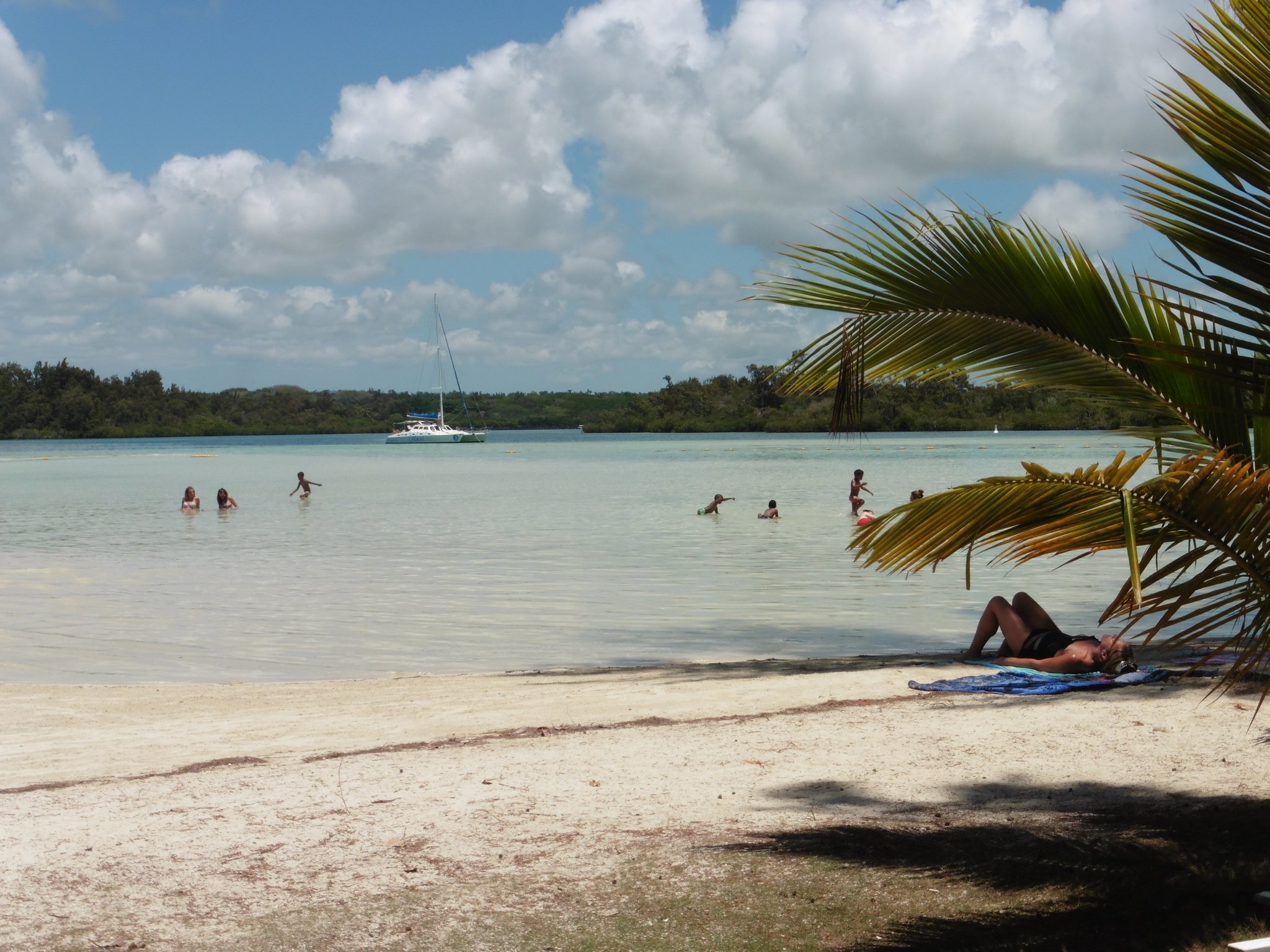 sommer, sonne, strand, meer und palmen - urlaubsfeeling (2) - Düsseldorf
