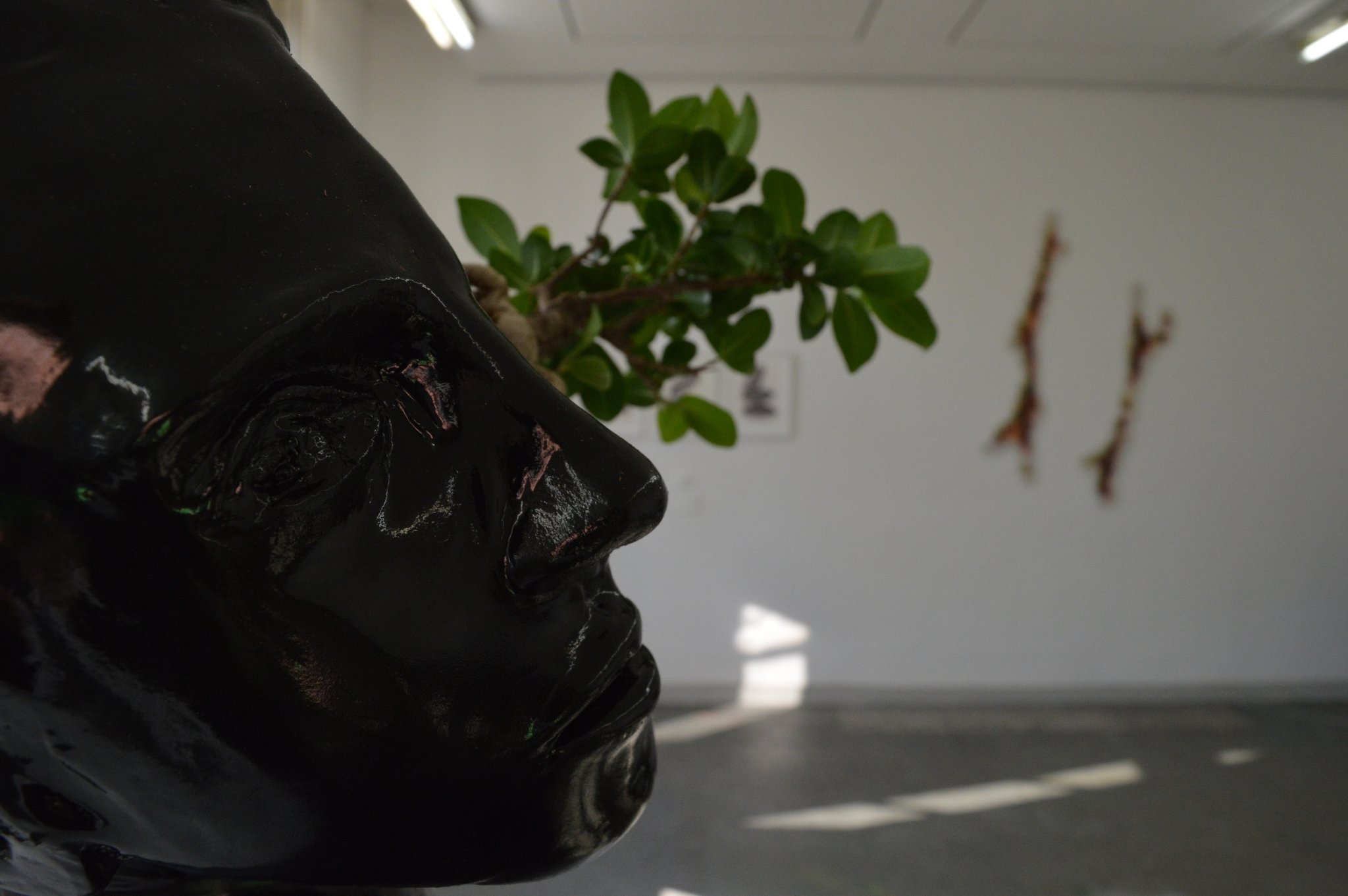 Daphne erstarrt zum Baum – Kunst trifft Botanik bei „artes herbaria ...