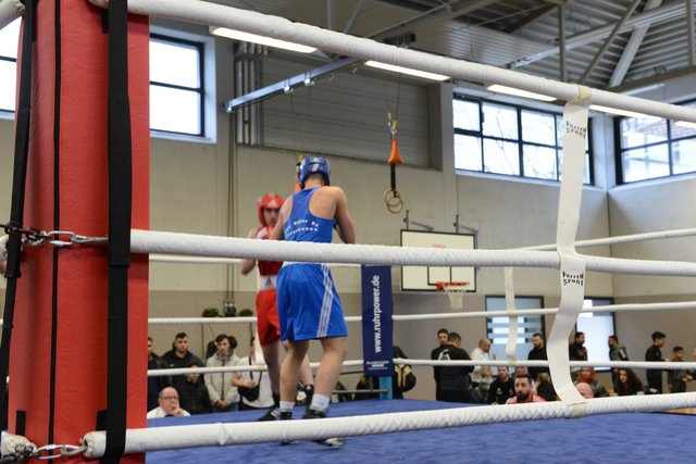 Boxen: Malek löst das Ticket für die Deutschen Meisterschaften ...