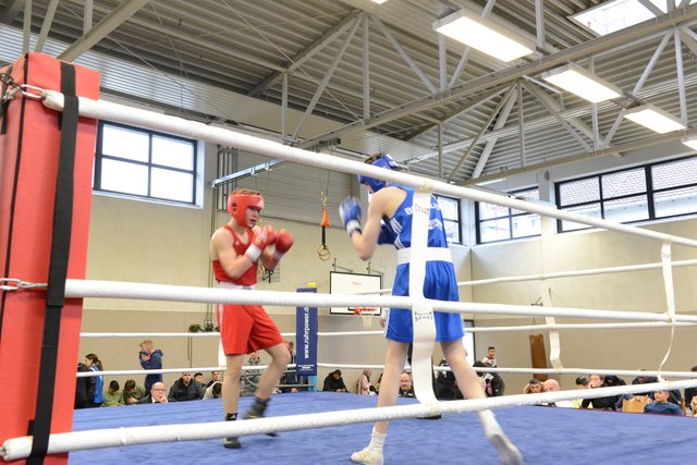 Boxen: Malek löst das Ticket für die Deutschen Meisterschaften ...