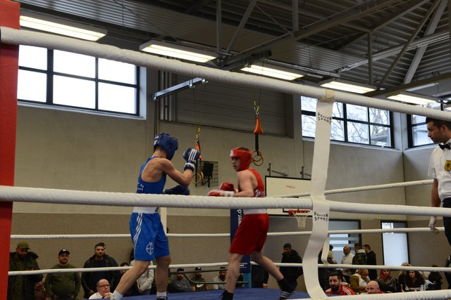 Boxen: Malek löst das Ticket für die Deutschen Meisterschaften ...