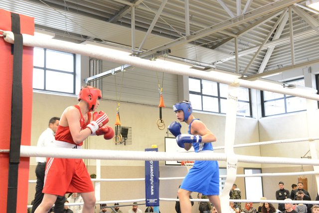 Boxen: Malek löst das Ticket für die Deutschen Meisterschaften ...