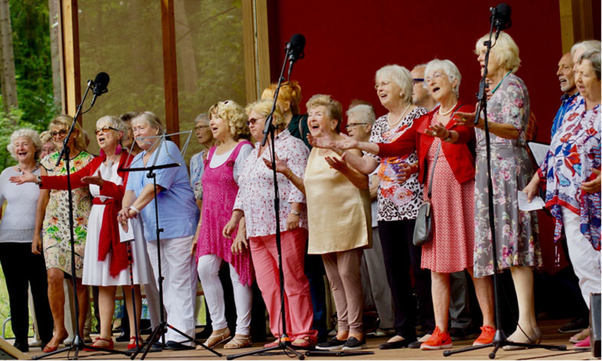 Chor casting: German Silver Singers suchen ansteckende Sänger mit Herz ...