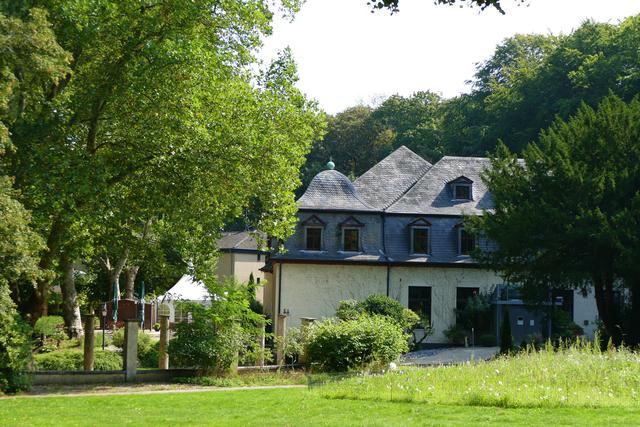 Bewegung ist das halbe Leben: Impressionen vom Hohenstein - Witten