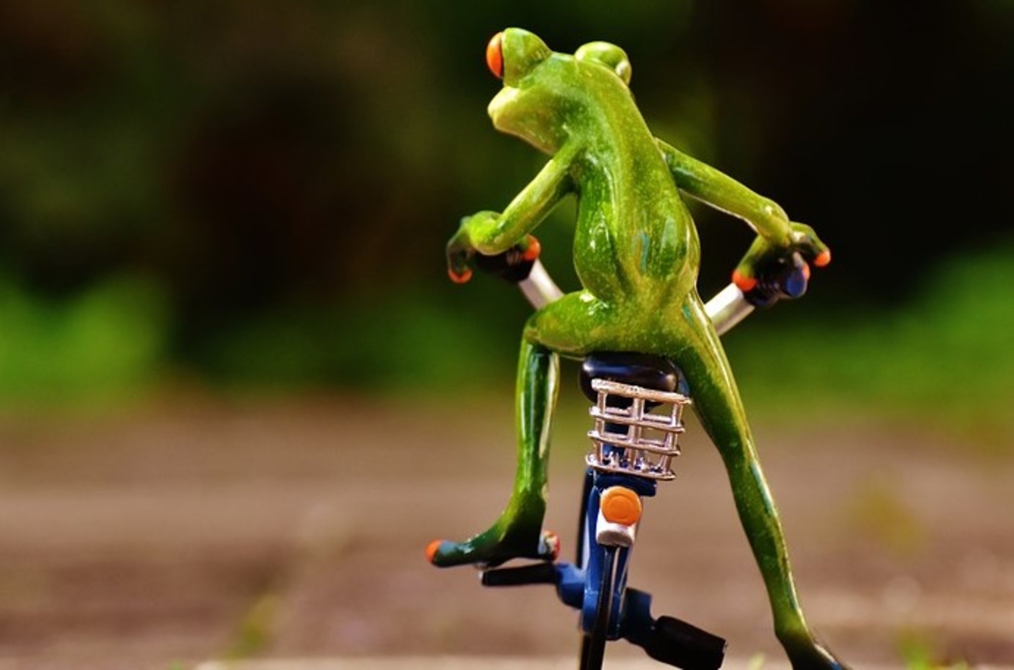 Das Wichtigste, worauf Radler achten sollten: AUF IHREN A ...