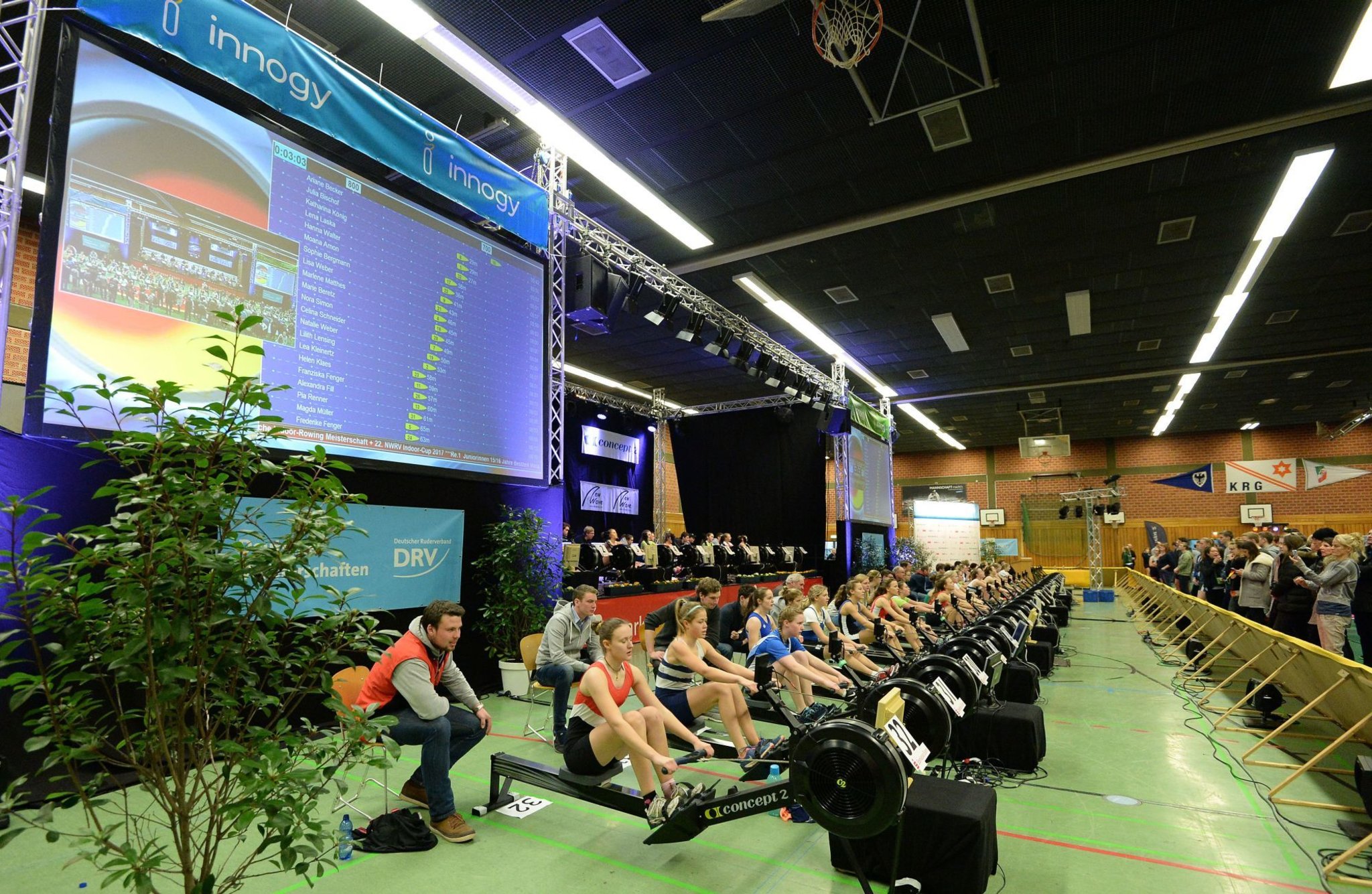 765 Ruderer aus Deutschland sind mit am Start: Nach 500 Metern brennen ...