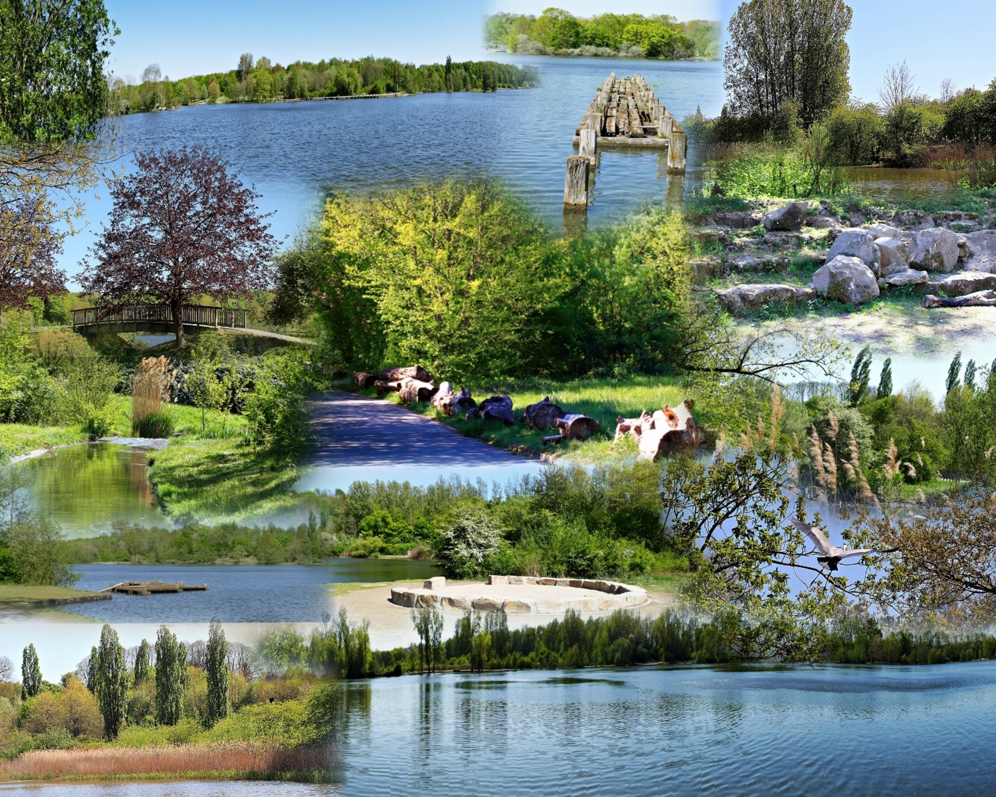 Bewegung ist das halbe Leben: Am Ümminger See zum Bummeln - Witten