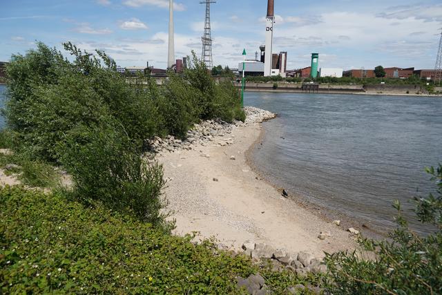 Das Wasser im Rhein geht zurück - Duisburg
