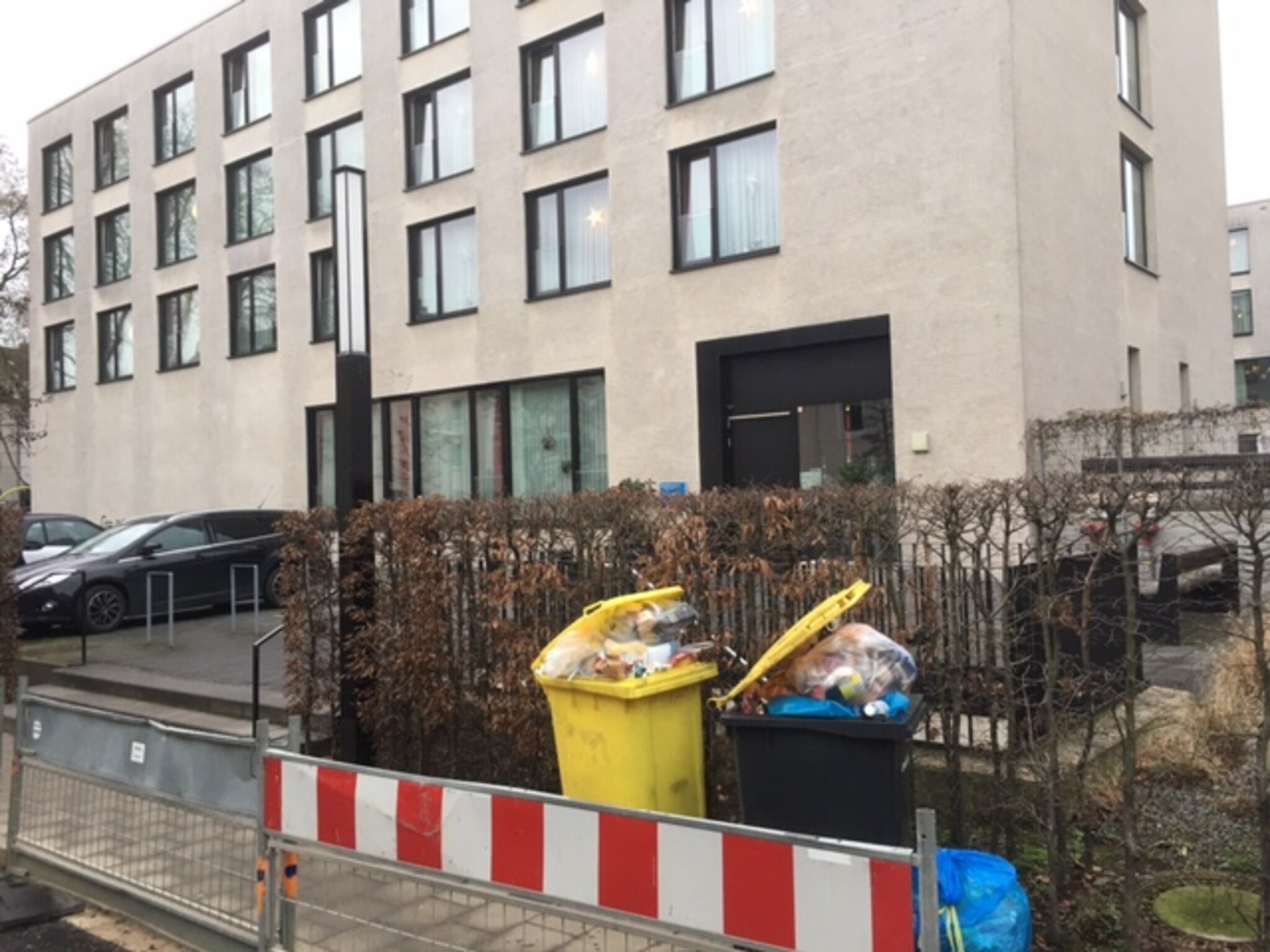 Tierschutz / FREIE WÄHLER: Müll und Dreck in Wohngegenden fördert ...