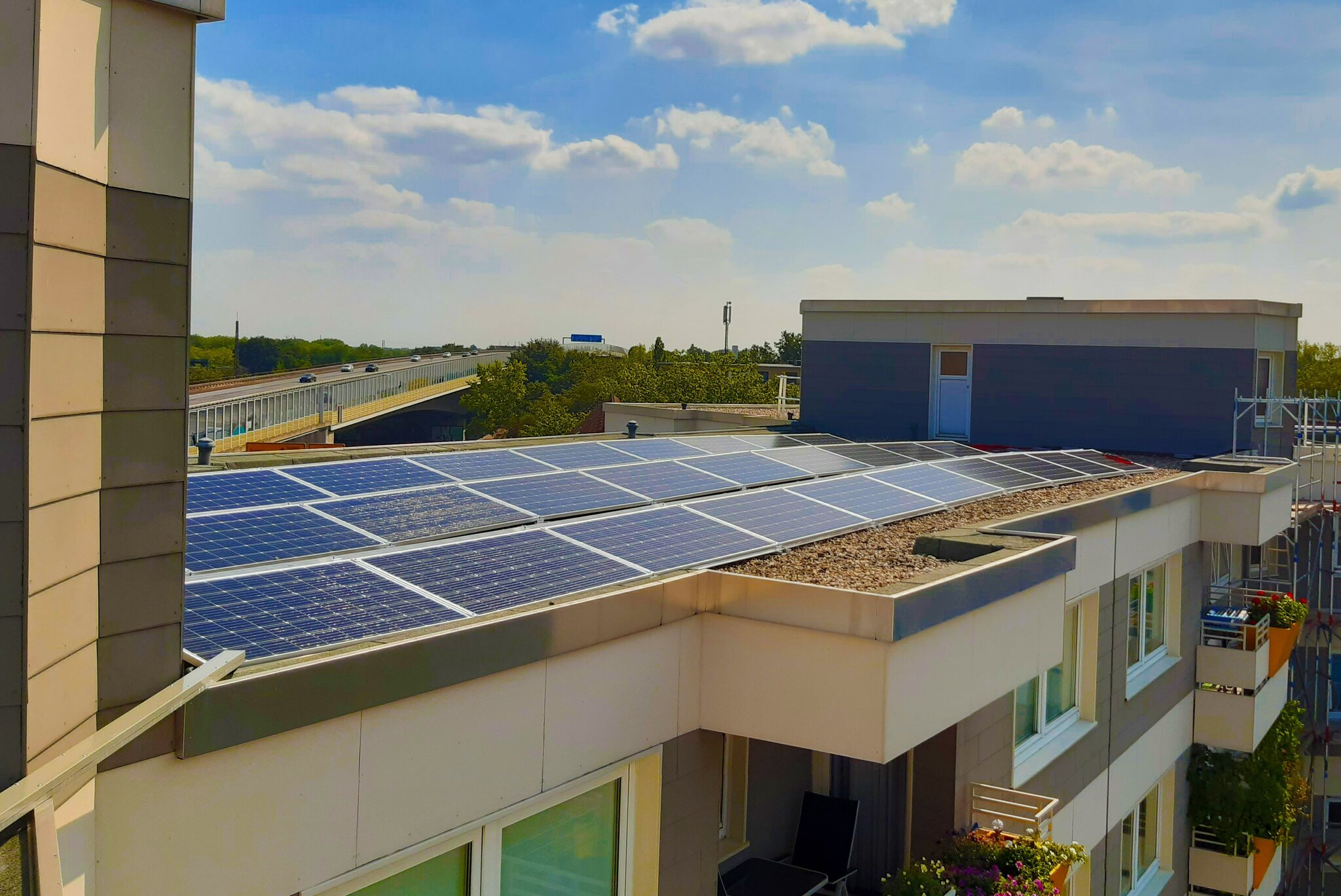 Tierschutzpartei wünscht sich Photovoltaik-Pflicht: Kein (neues) Dach ...