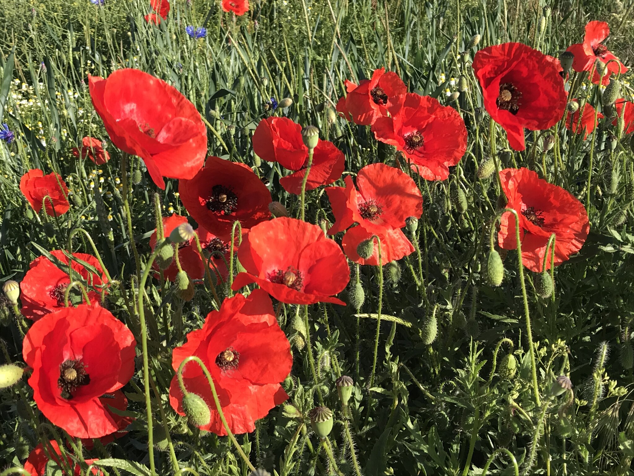 Coaching in der Natur: Walk to talk - Coaching in der Natur ...