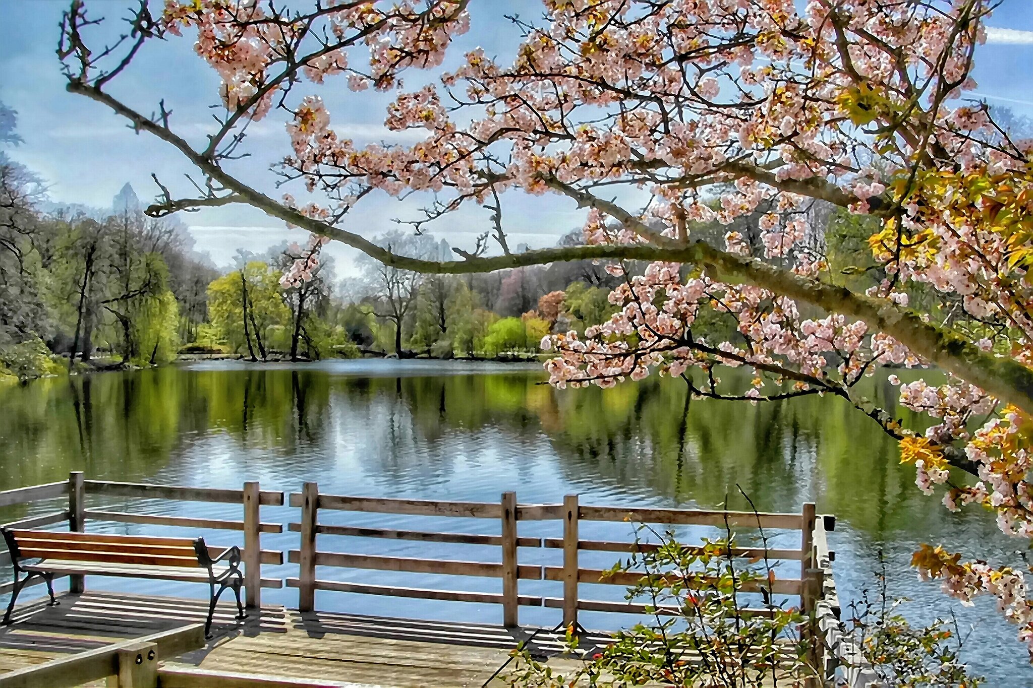 Im Rombergpark: Frühling im Rombergpark - Dortmund-West