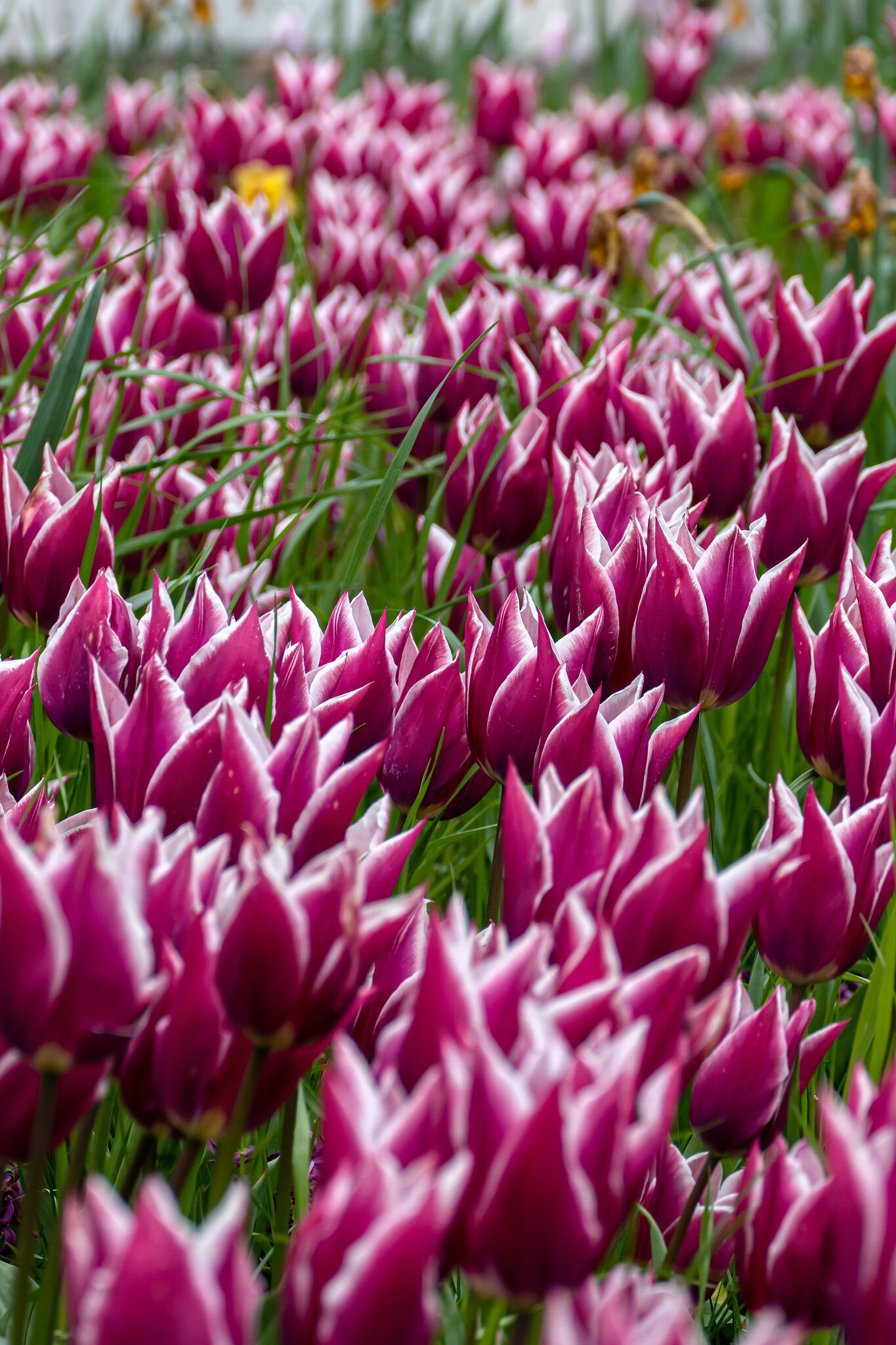 Ein Samstag im Westfalenpark - Dortmund