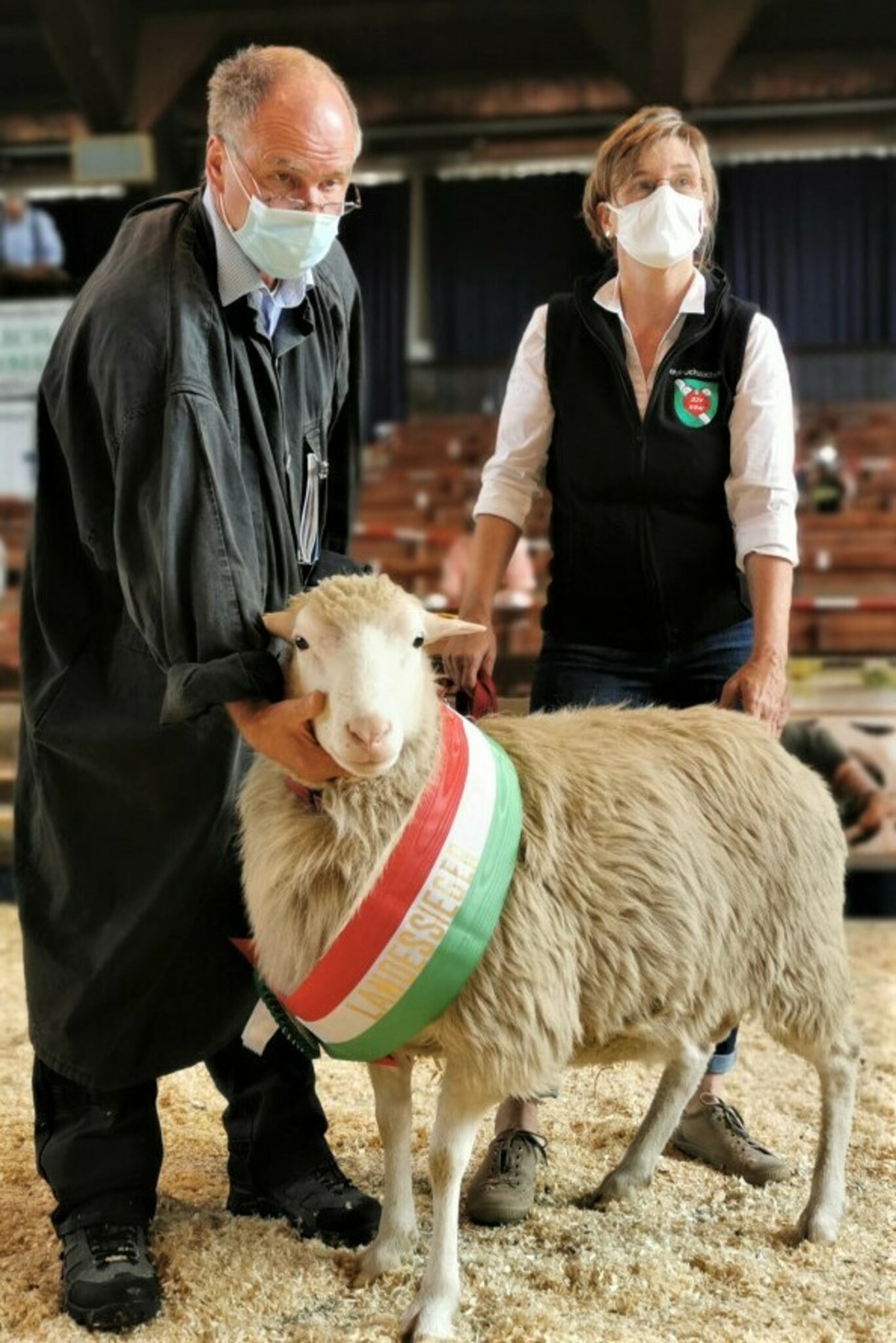 Iris Behrens hat ein preisgekröntes Schaf: Otto ist der Beste - Hattingen
