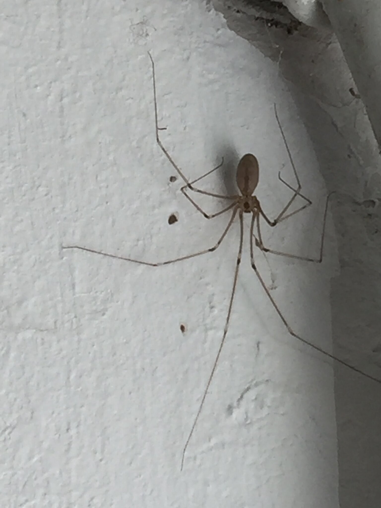 Jäger und Beute: Jäger und Beute - Hagen