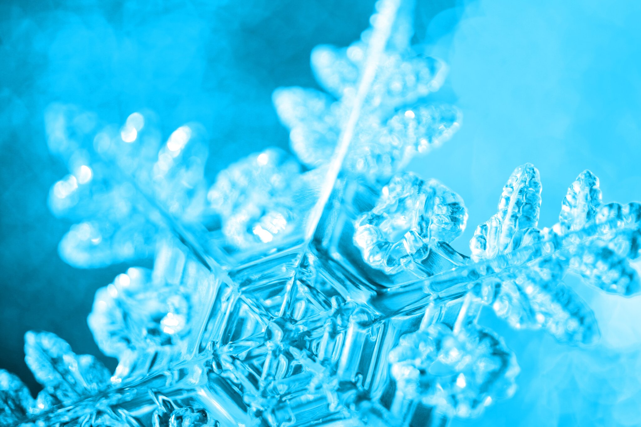 Erstaunliches über die winterlichen Flocken: Was Sie schon immer über ...