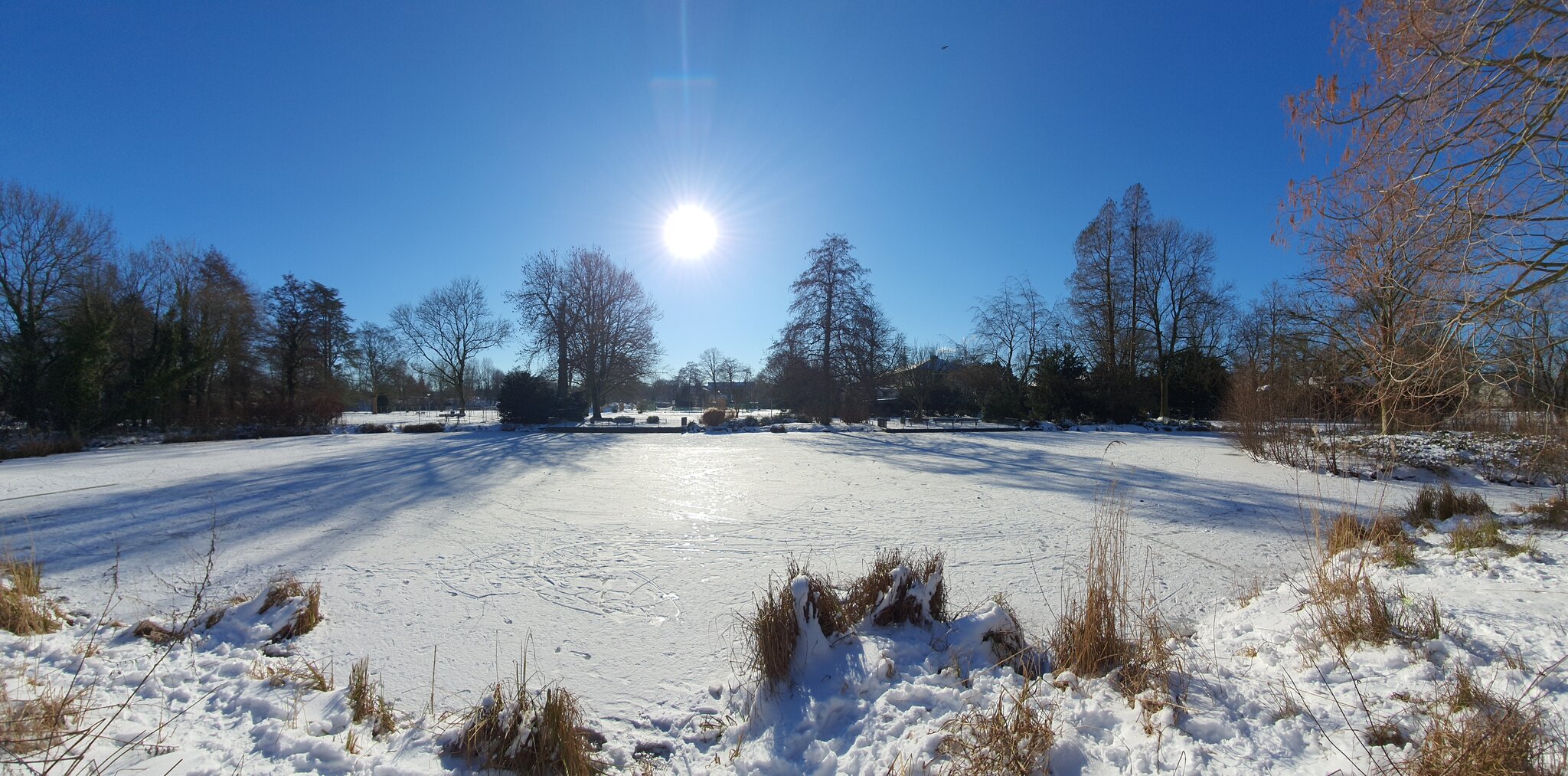 Altenessen im Blickpunkt Foto-Jahresrückblick 2021 - Essen-Nord