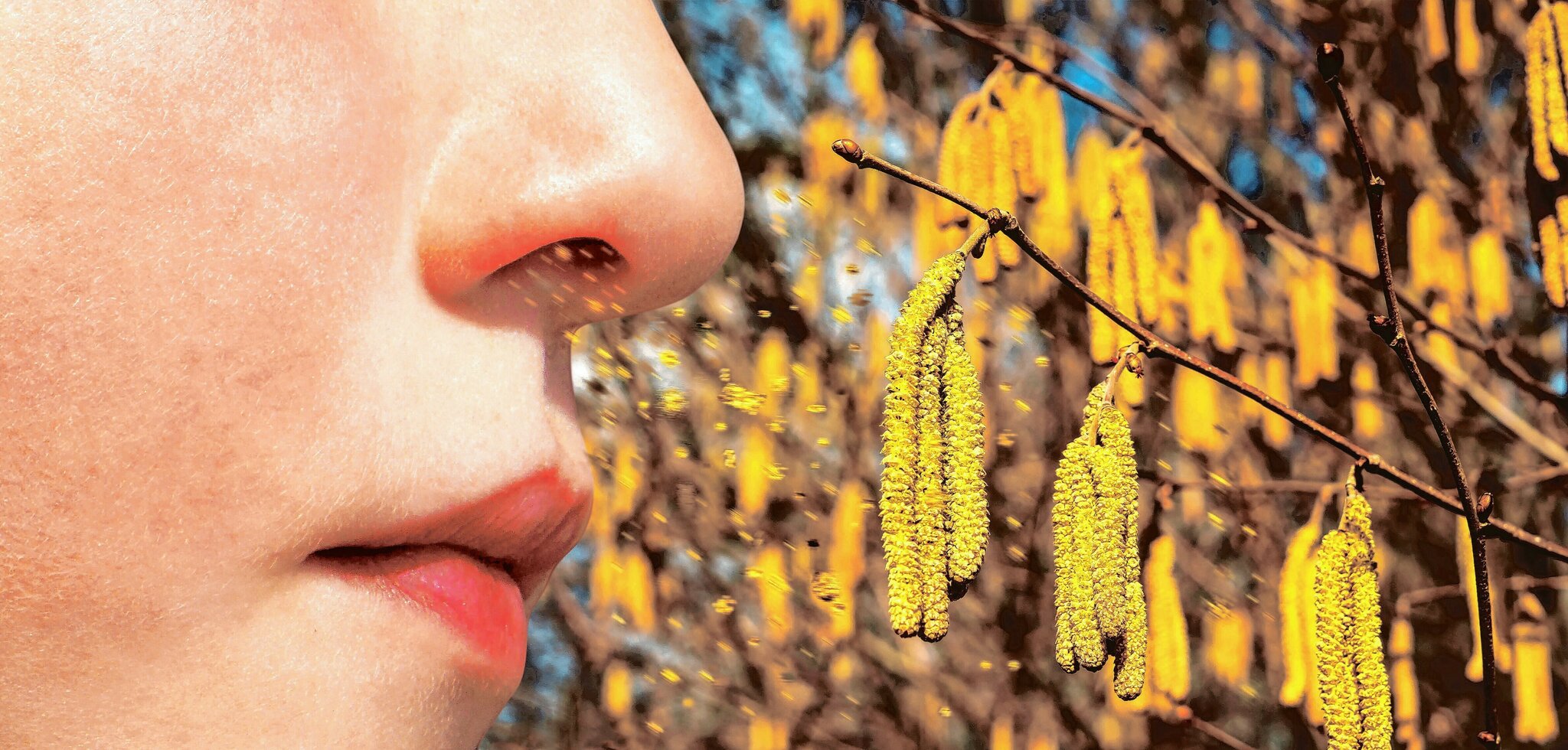 Moers - Ratschläge und Hilfe bei Allergien: Pollenflug startet - Moers