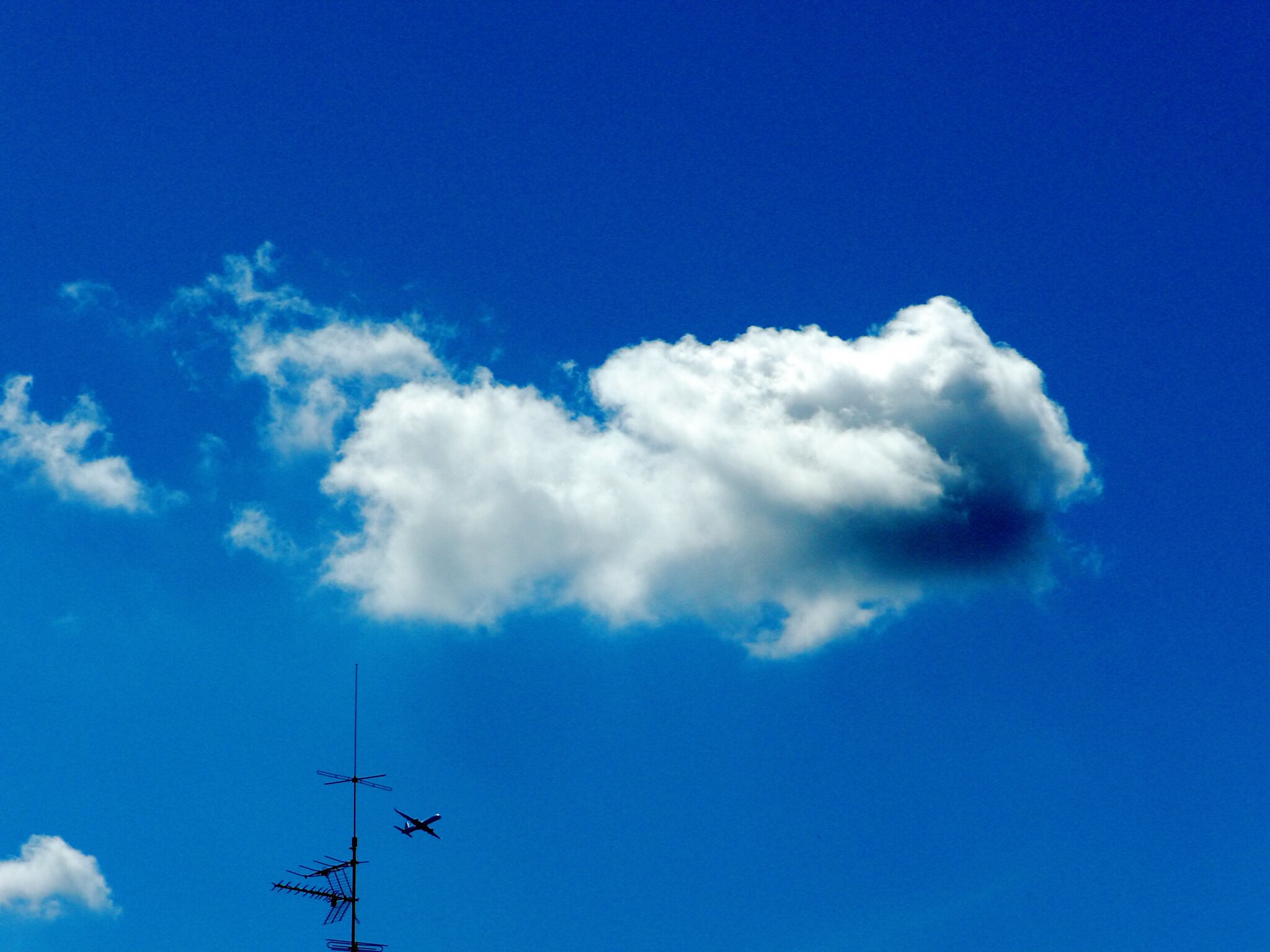 Wolkenmalerei...: Die vielen Gesichter einer Wolke... - Essen-Süd
