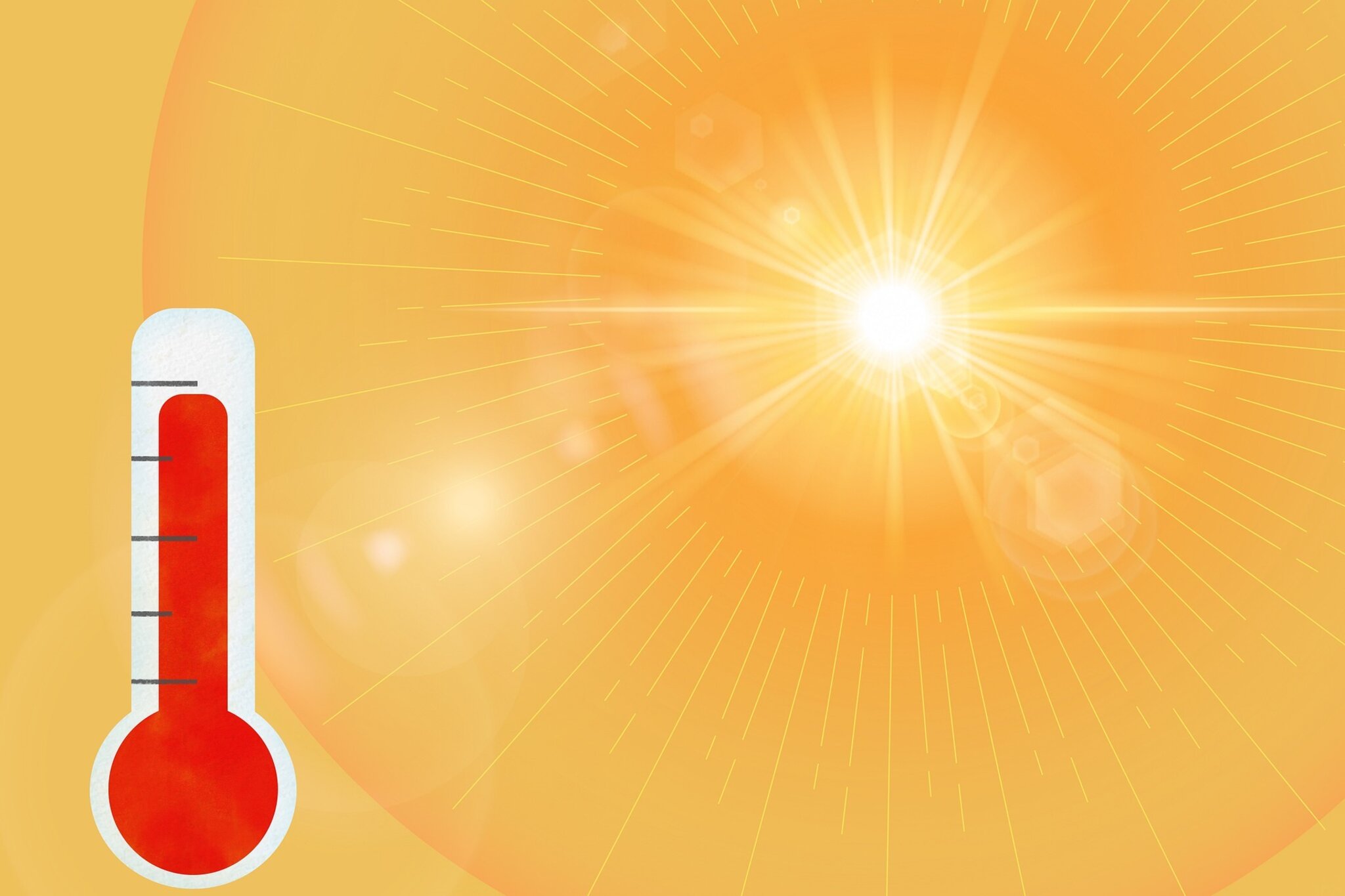 Warnung vor Hitzewelle in Deutschland!: Warnung: Es wird wieder sehr ...