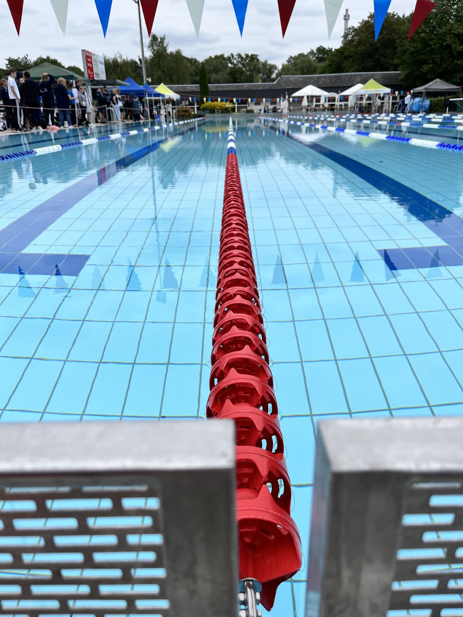 Gutes Wetter = Wettkämpfe für die Albatrosse: 7. SGWI- Schwimmfest im ...