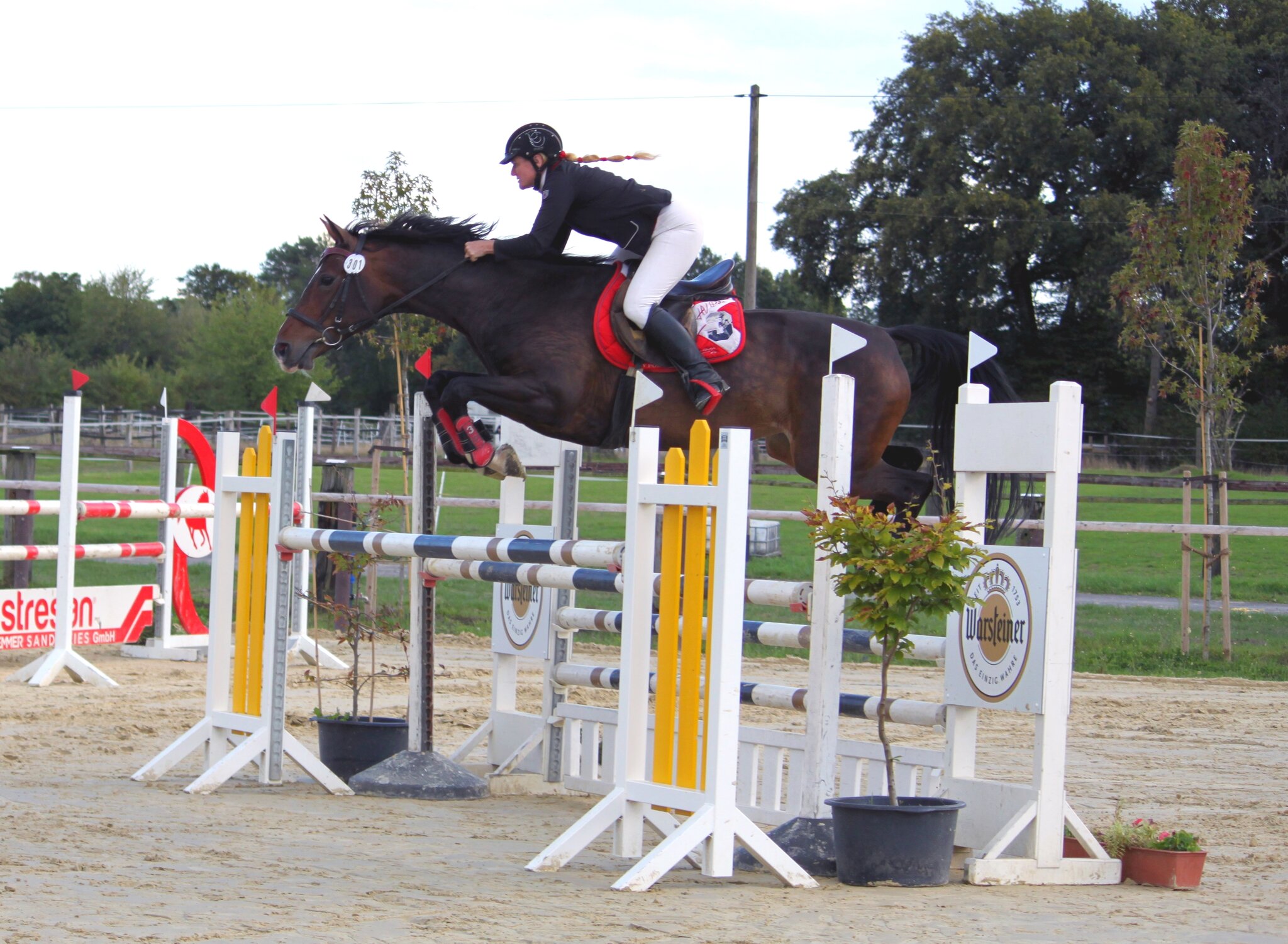 Herbstreitturnier in Voerde: Zweimal Traumnote von 8,0 für Voerder ...
