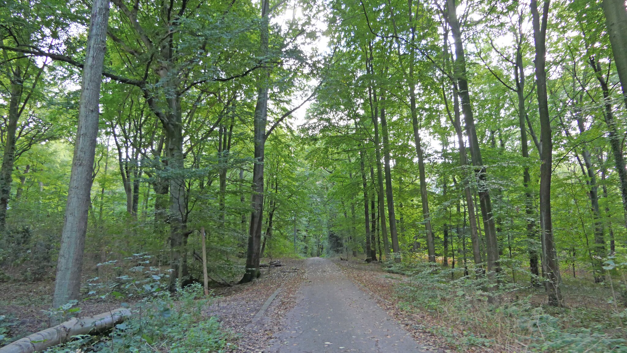 Ein Spaziergang durch den Duisburger Stadtwald: Duisburger Stadtwald ...