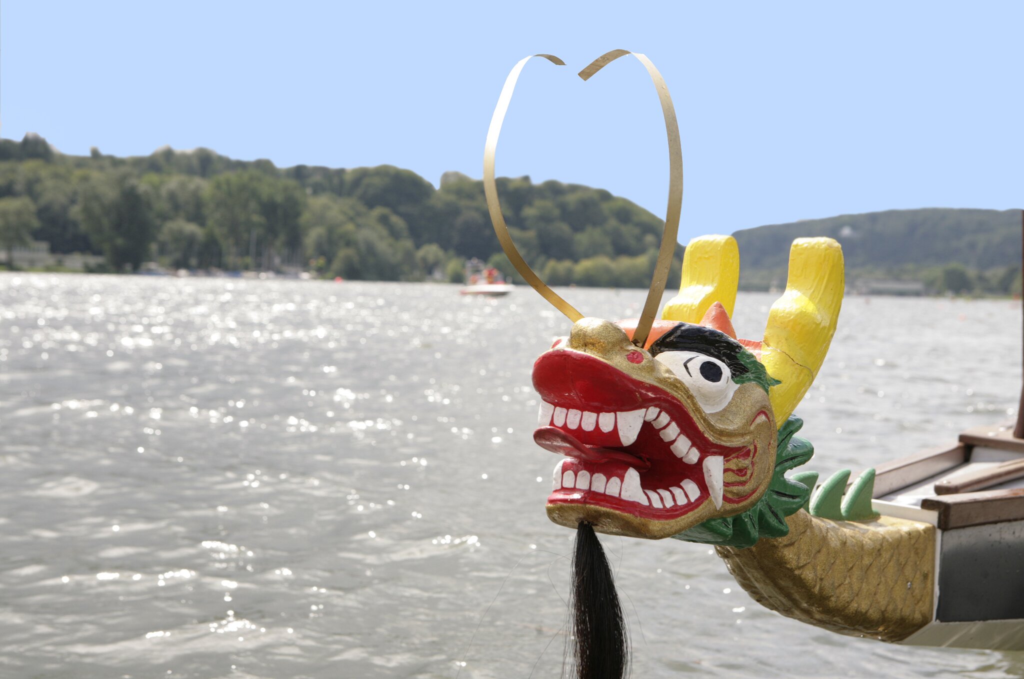 Anmelden zum neunten Drachenboot-Indoor-Cup: Drachenboote auf der Ruhr ...