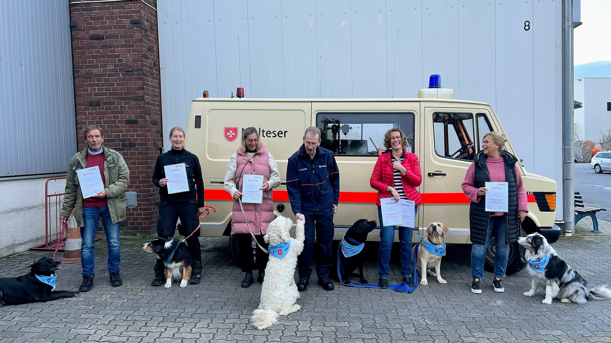 Neue Besuchshunde-Teams: Malteser Wesel bekommen tierische Verstärkung ...