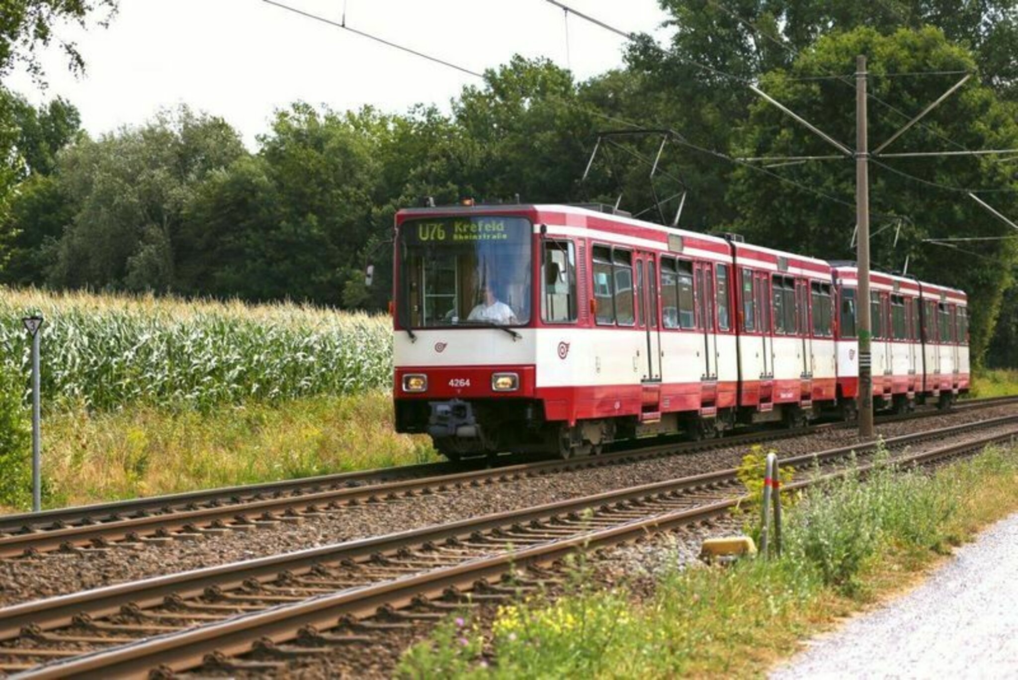 Danke an die Kontrolleure in der U76 am 11.11.2022 - Düsseldorf