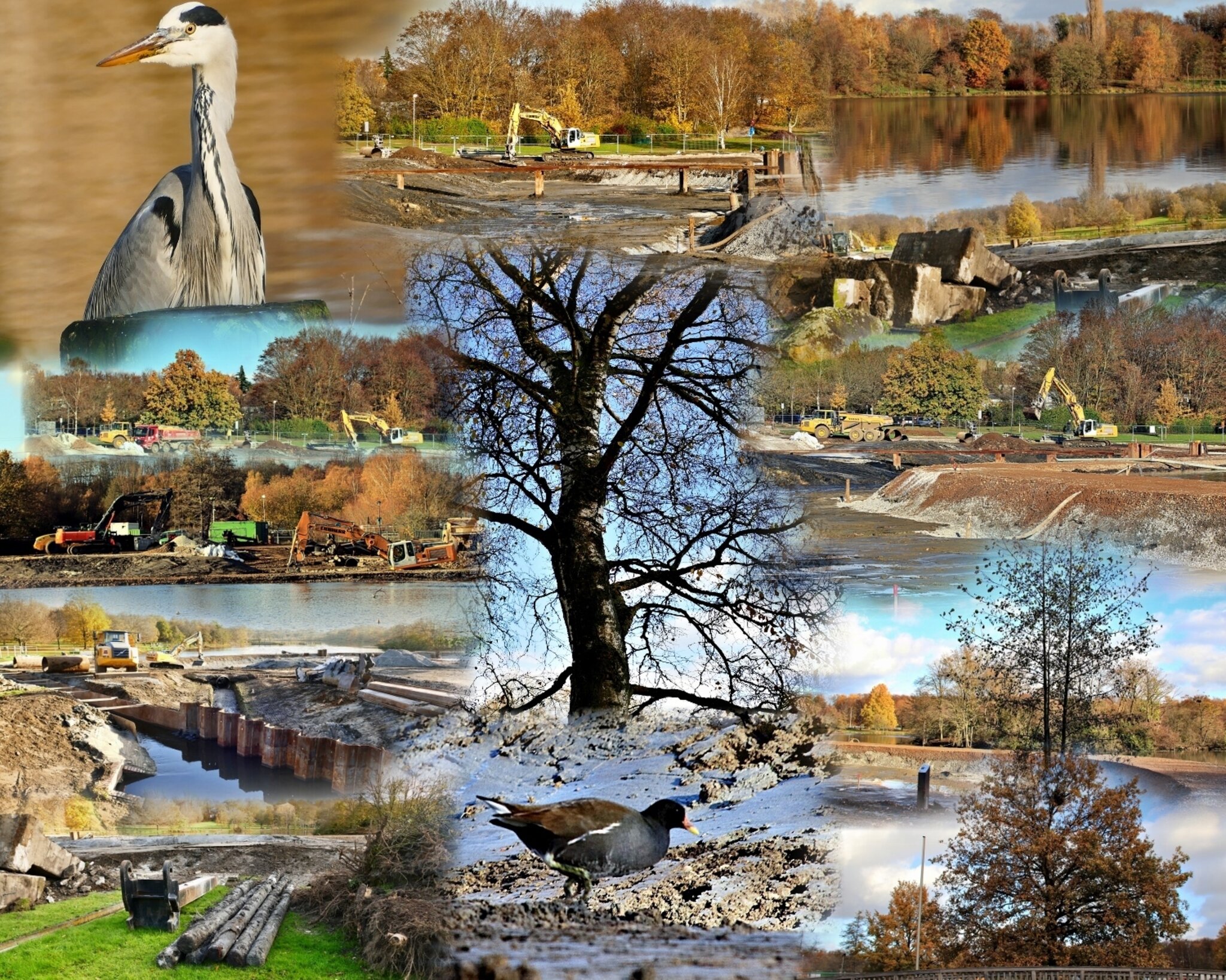 Bewegung ist das halbe Leben: Impression vom Ümminger See - Witten