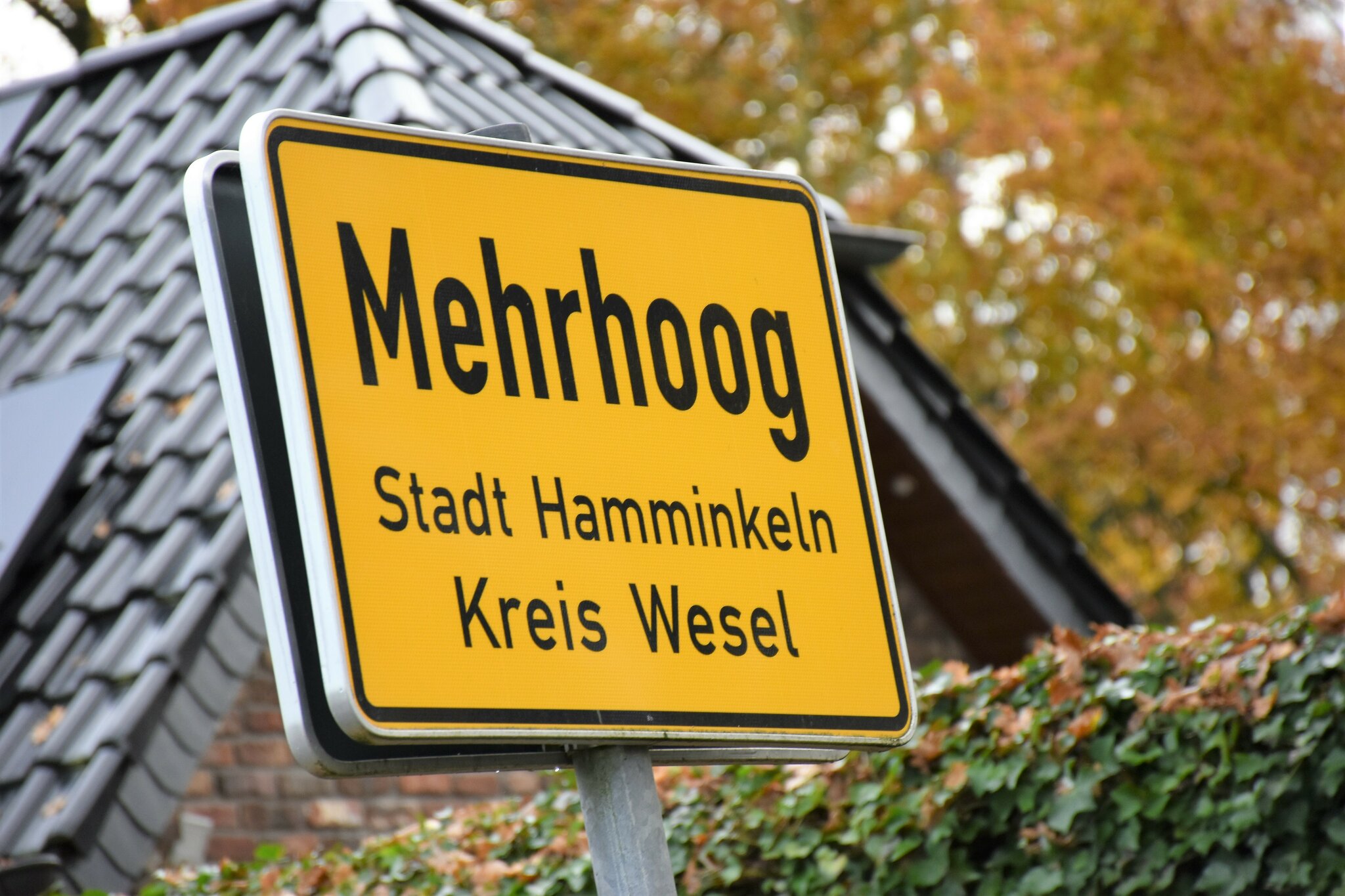 Konzert am 10. Dezember: Mehrhooger Männerchor singt gemeinsam mit ...